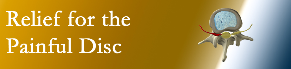 The Painful Disc and Minster Chiropractic Relief | Minster Chiropractic ...